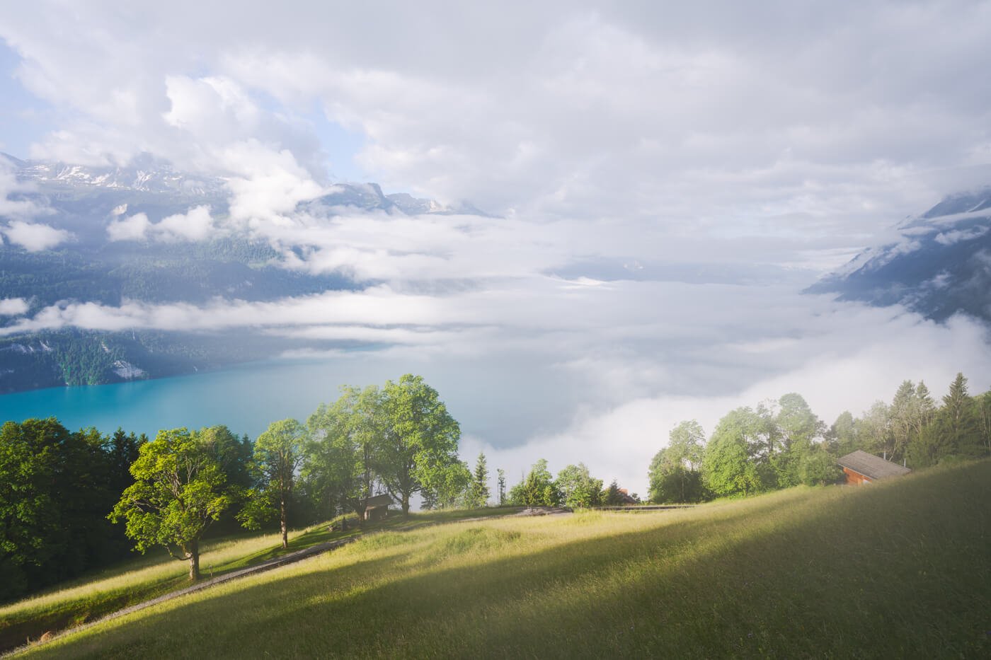 The Brienzer Rothorn Hike - The Photo Hikes