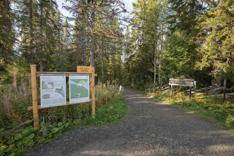 Tännforsen Waterfall Hike, Sweden's most powerful Waterfall - The Photo ...